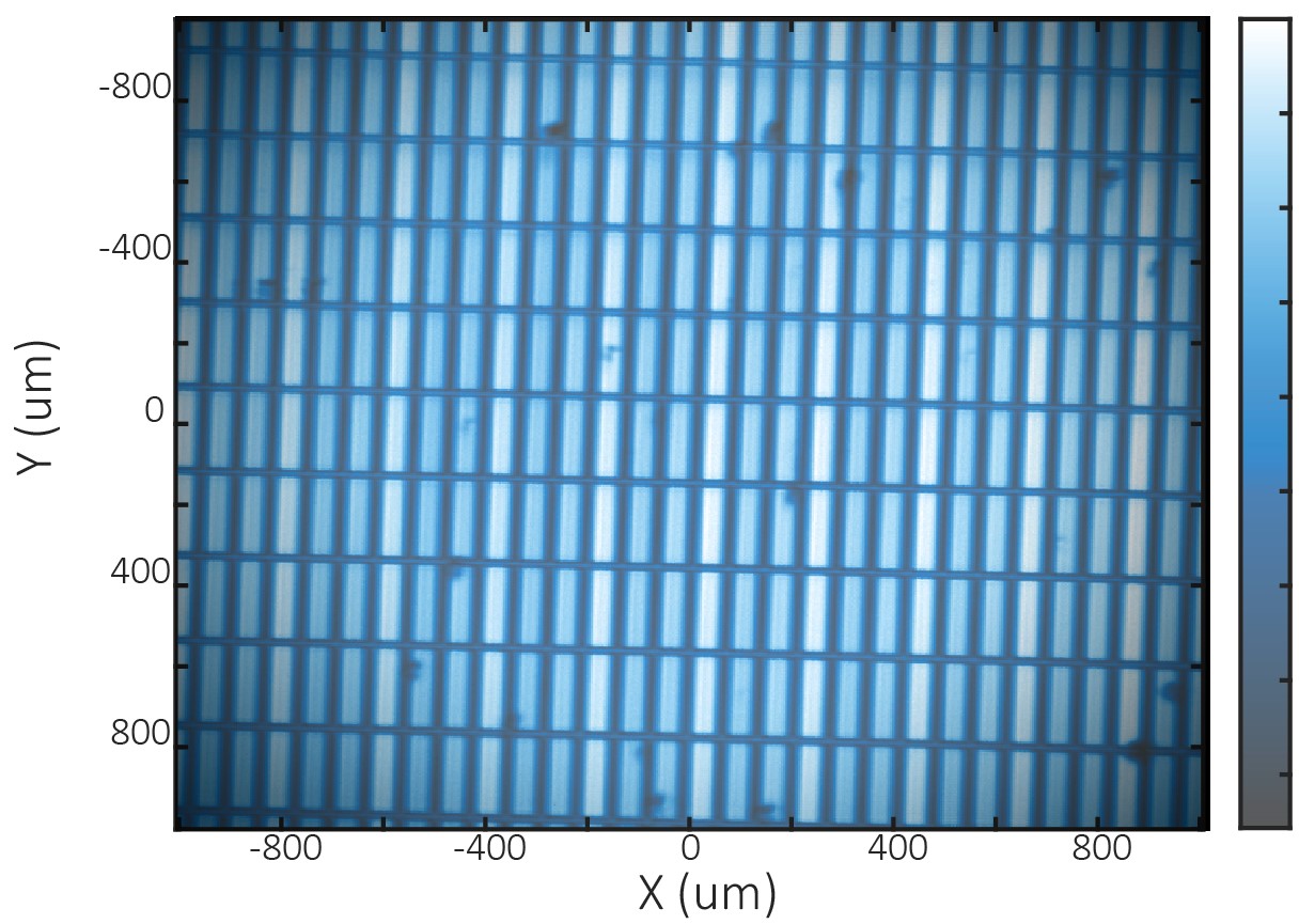 NESSIE Laser Scanning Microscope - MONSTR Sense Technologies